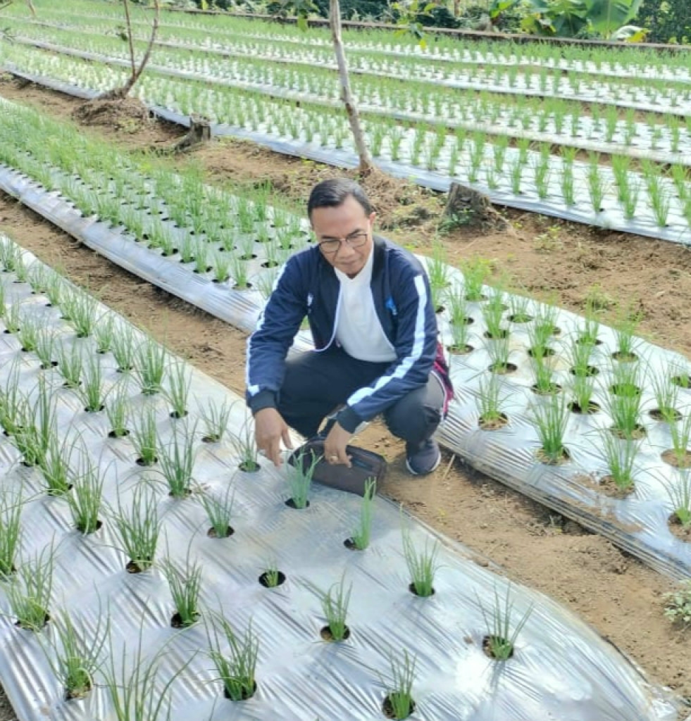 Berita | Website Resmi Dinas Pertanian dan Pangan Pemerintah Kabupaten ...